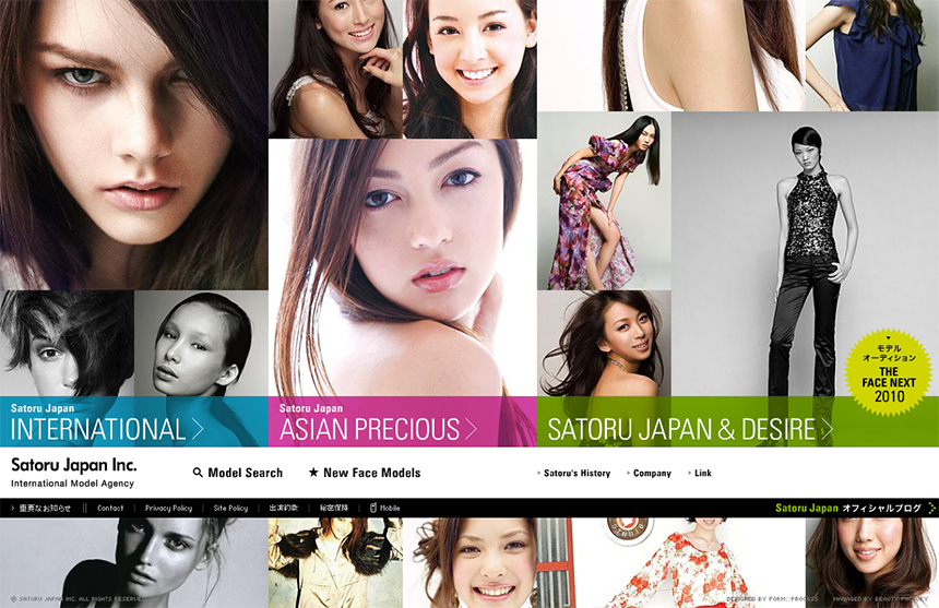 SATORU JAPAN INC. | FORM::PROCESS